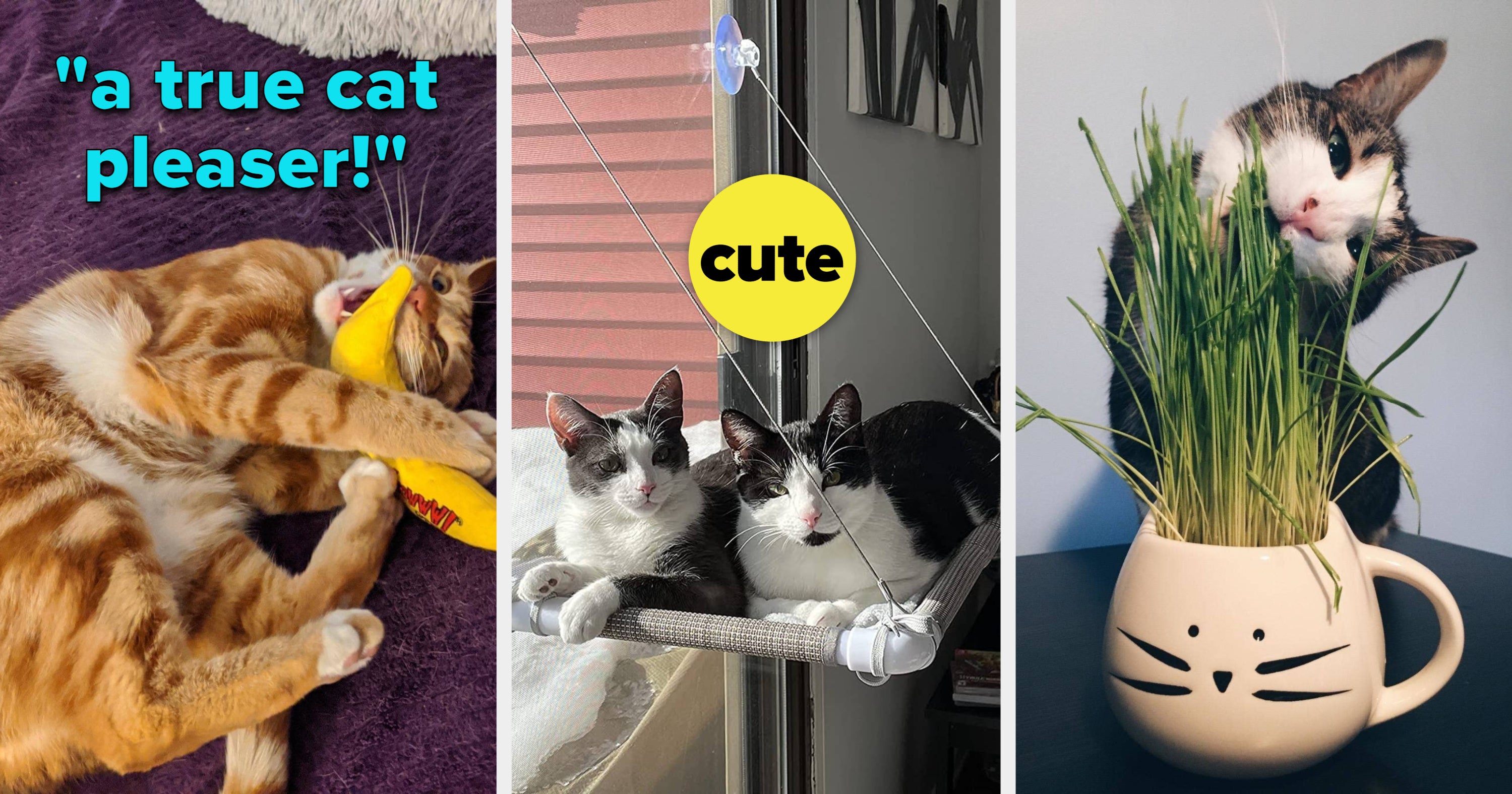 32 Things For Anyone With A Bossy Cat