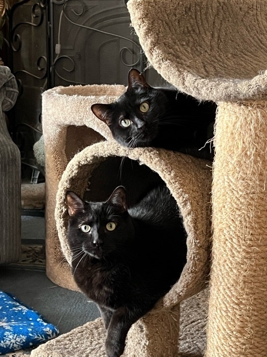 People Shared The Absolute Cutest Picture They Have On Their Phone