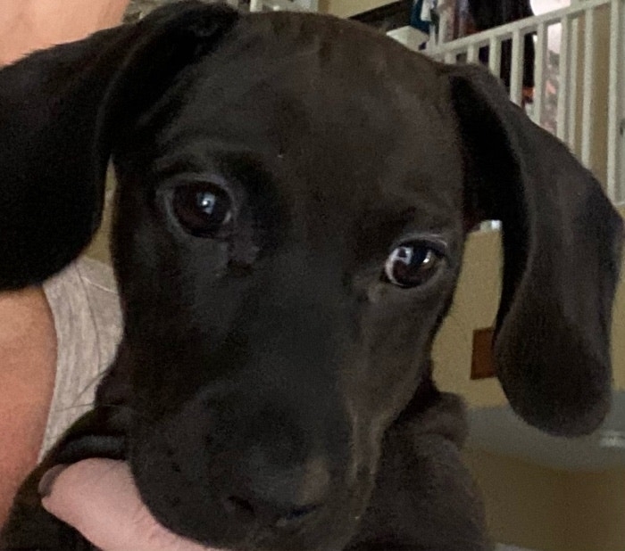 People Shared The Absolute Cutest Picture They Have On Their Phone