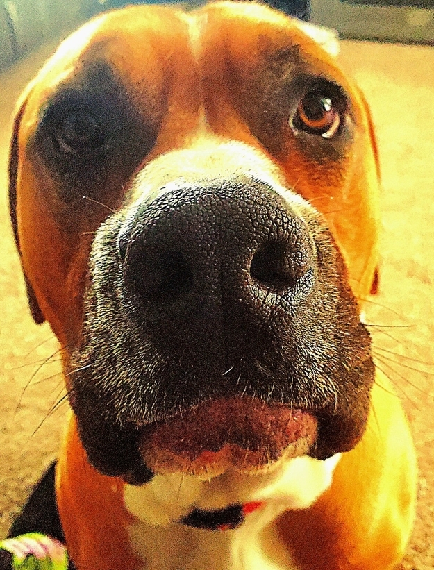 People Shared The Absolute Cutest Picture They Have On Their Phone