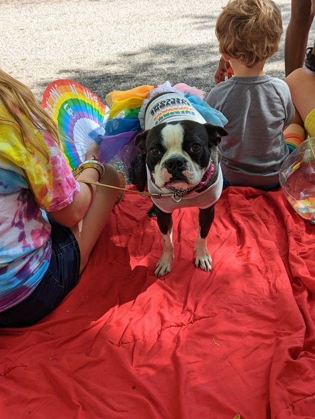 People Shared The Absolute Cutest Picture They Have On Their Phone