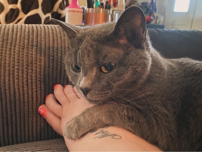 People Shared The Absolute Cutest Picture They Have On Their Phone