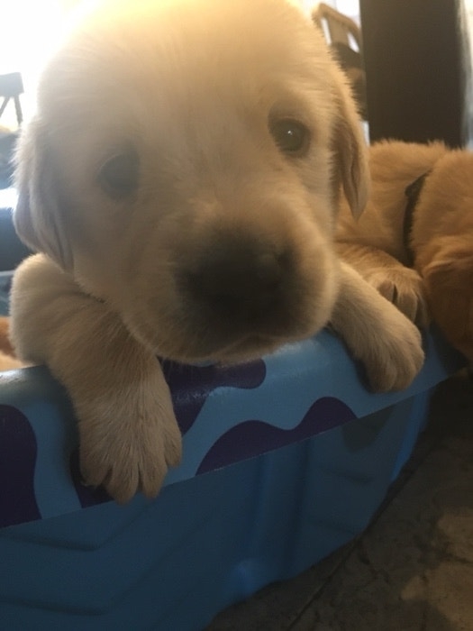 People Shared The Absolute Cutest Picture They Have On Their Phone