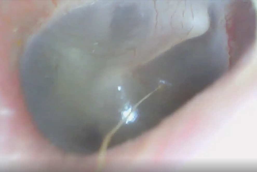 99 Wildest Photos Of The Human Body From This Year