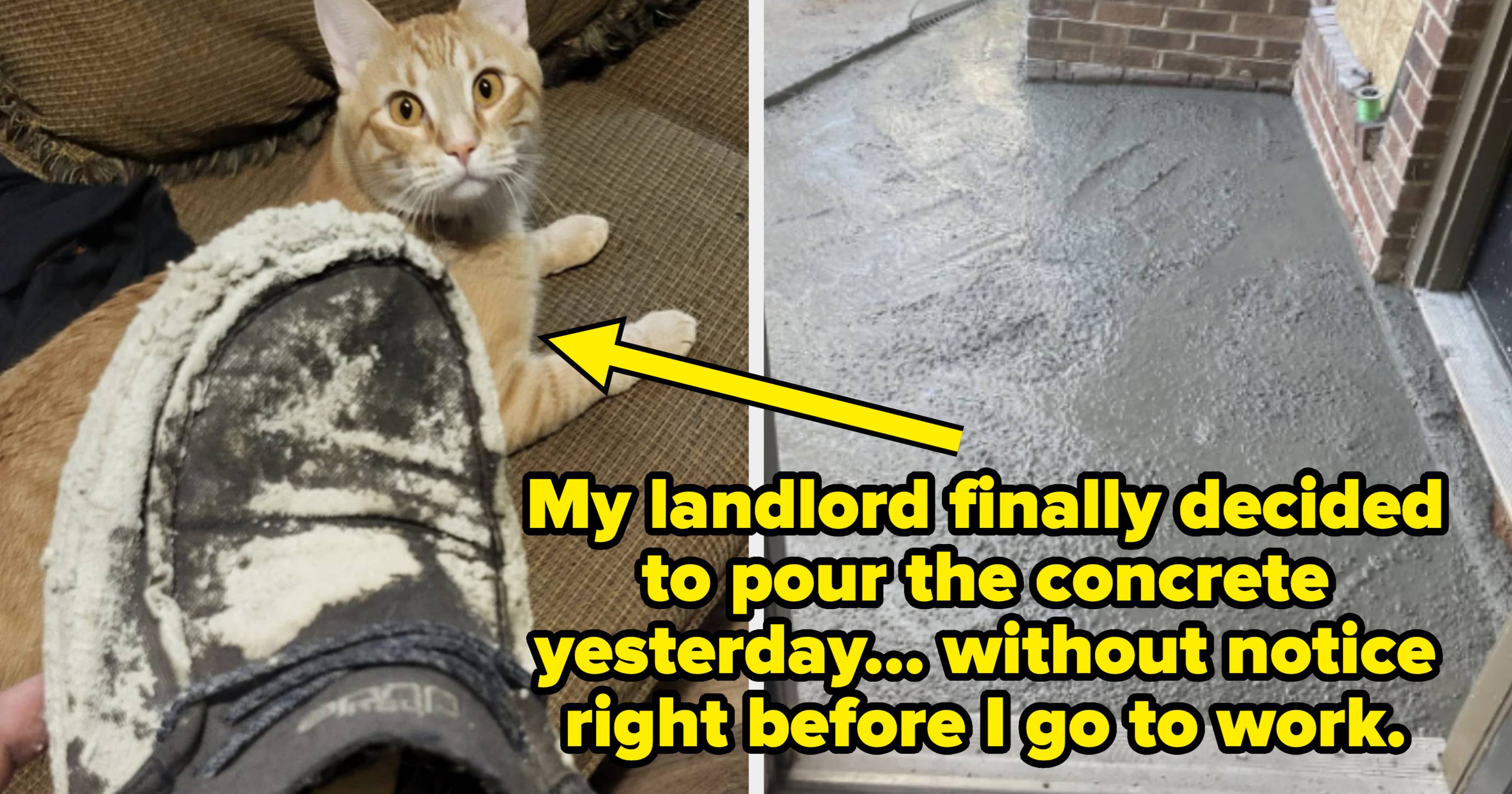 41 Terrible Landlords