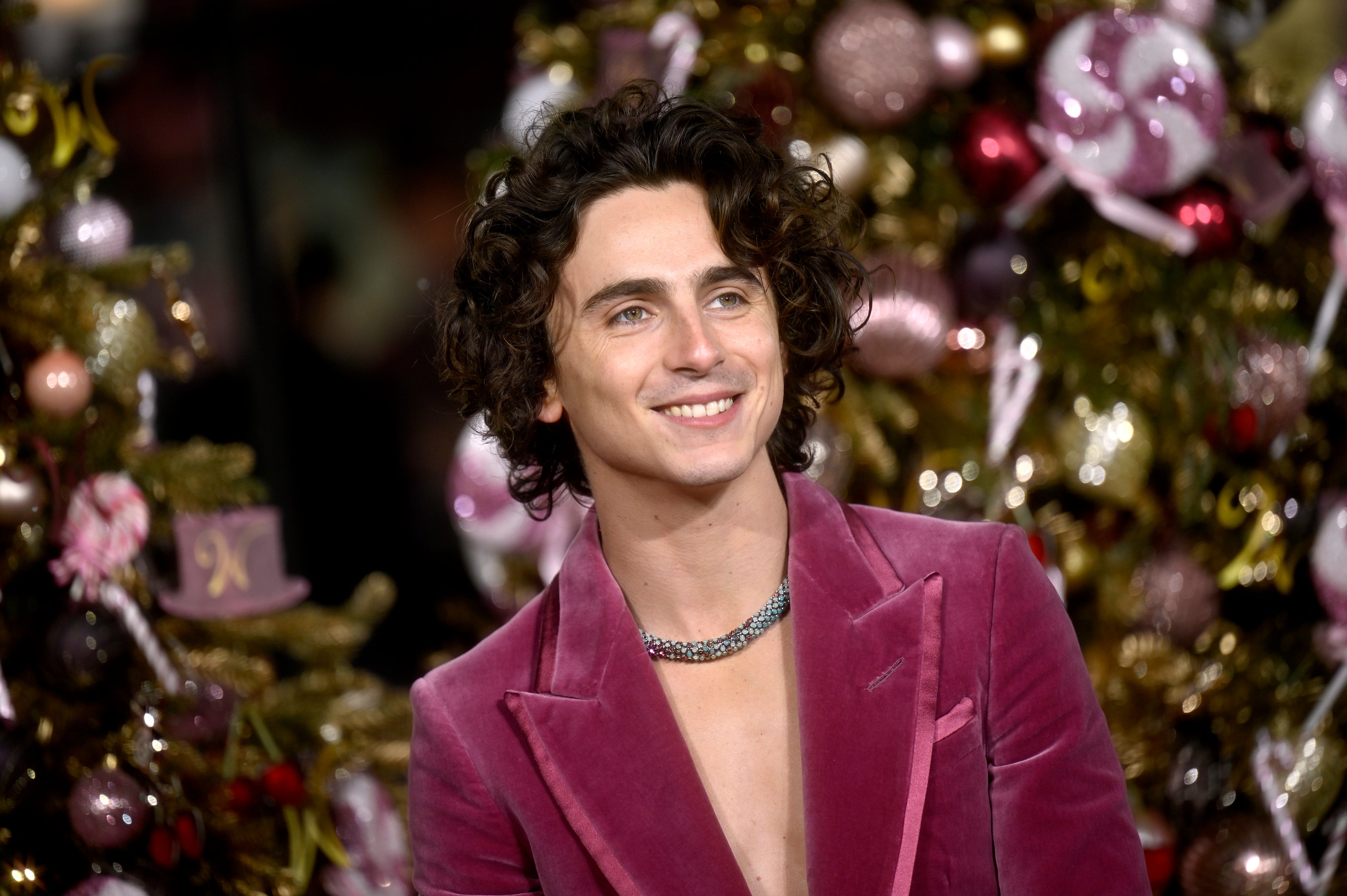 Timothée Chalamet Reacts To ESPN College GameDay Praise