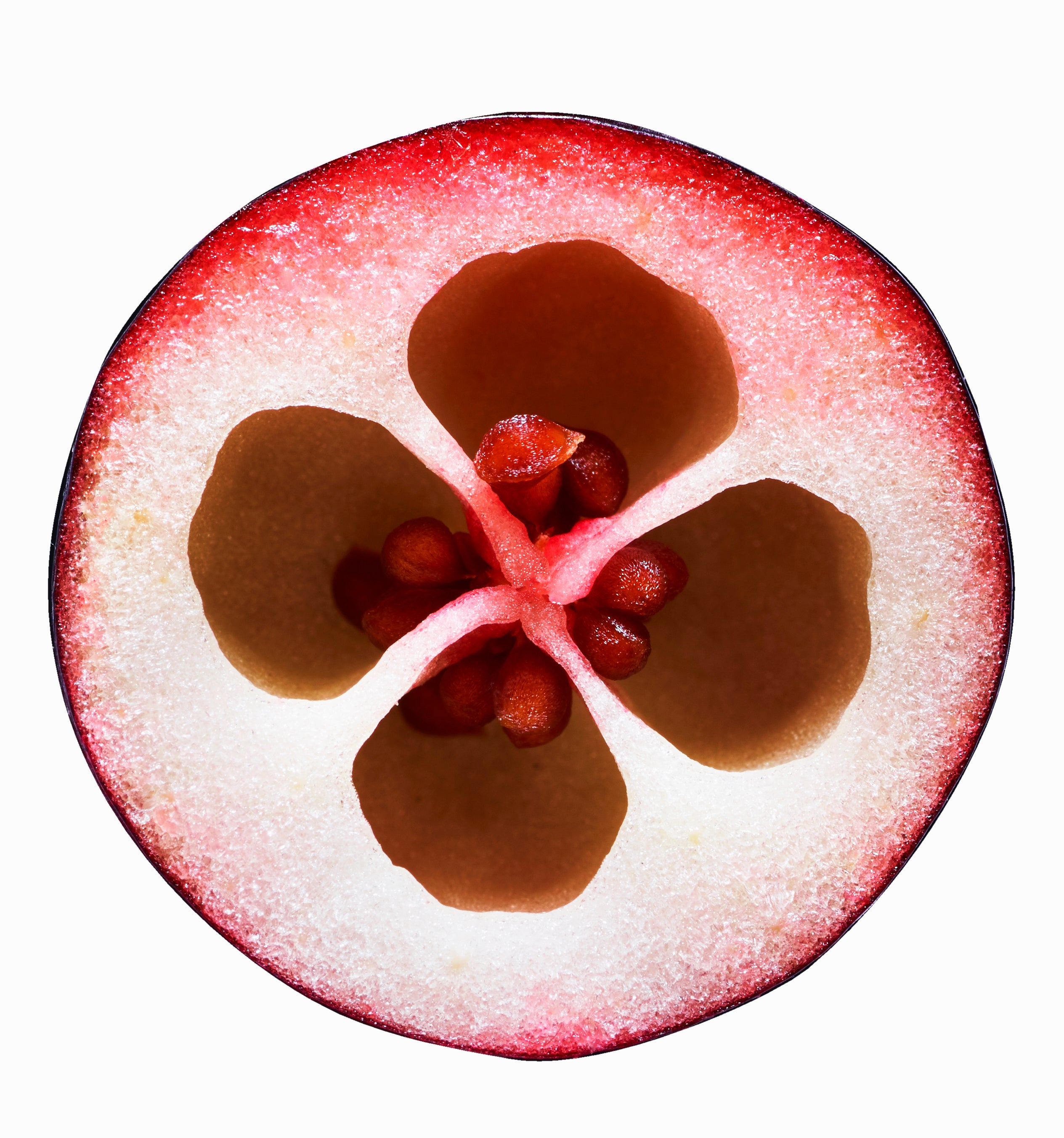 Viral Candied Cranberries Recipe, How To Make Them