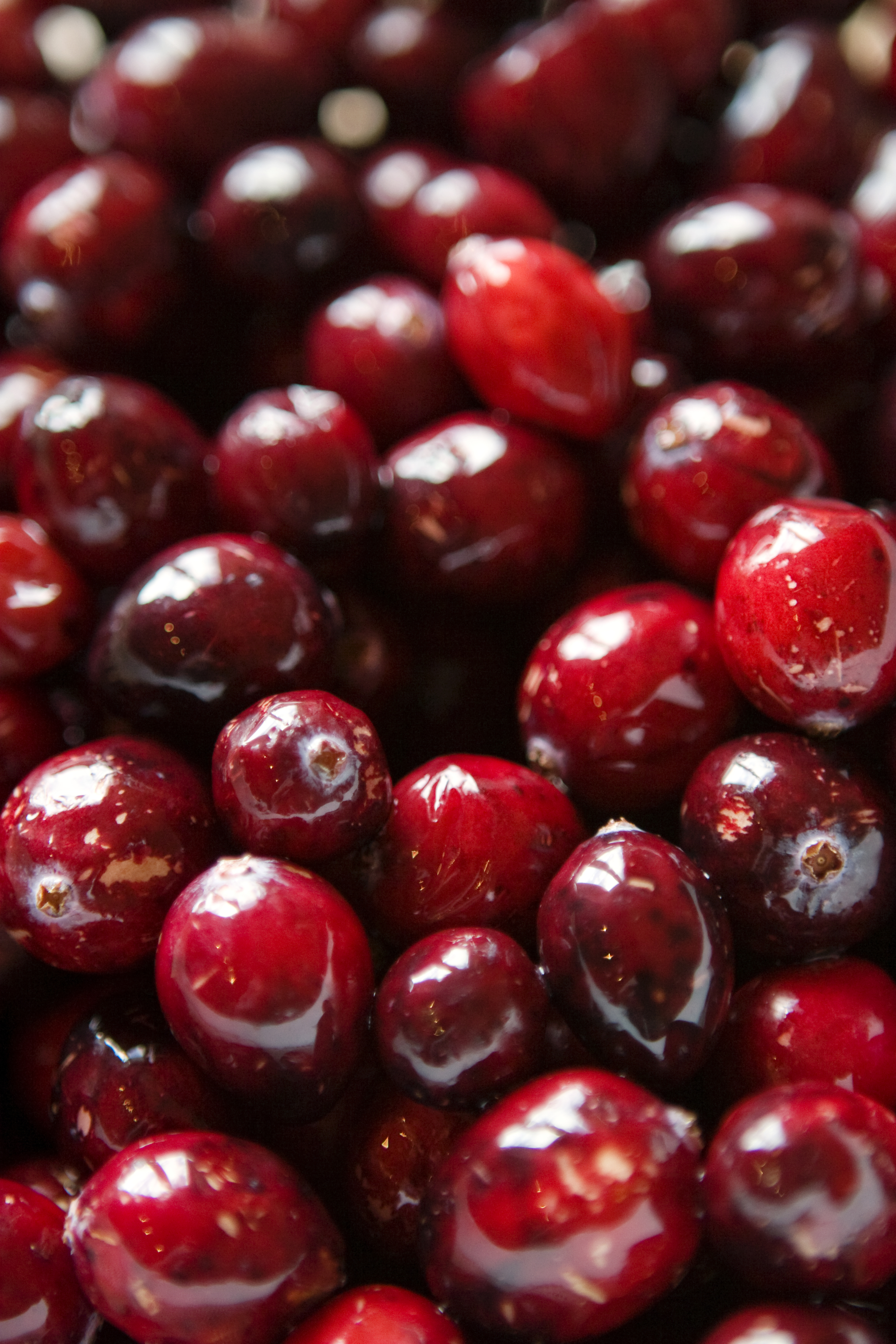 Viral Candied Cranberries Recipe, How To Make Them