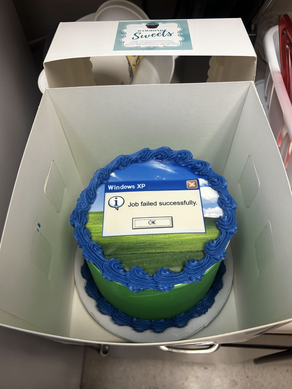 58 Ridiculously Funny Photos From 2024