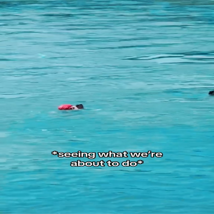 People Take Floating River Commute In Switzerland