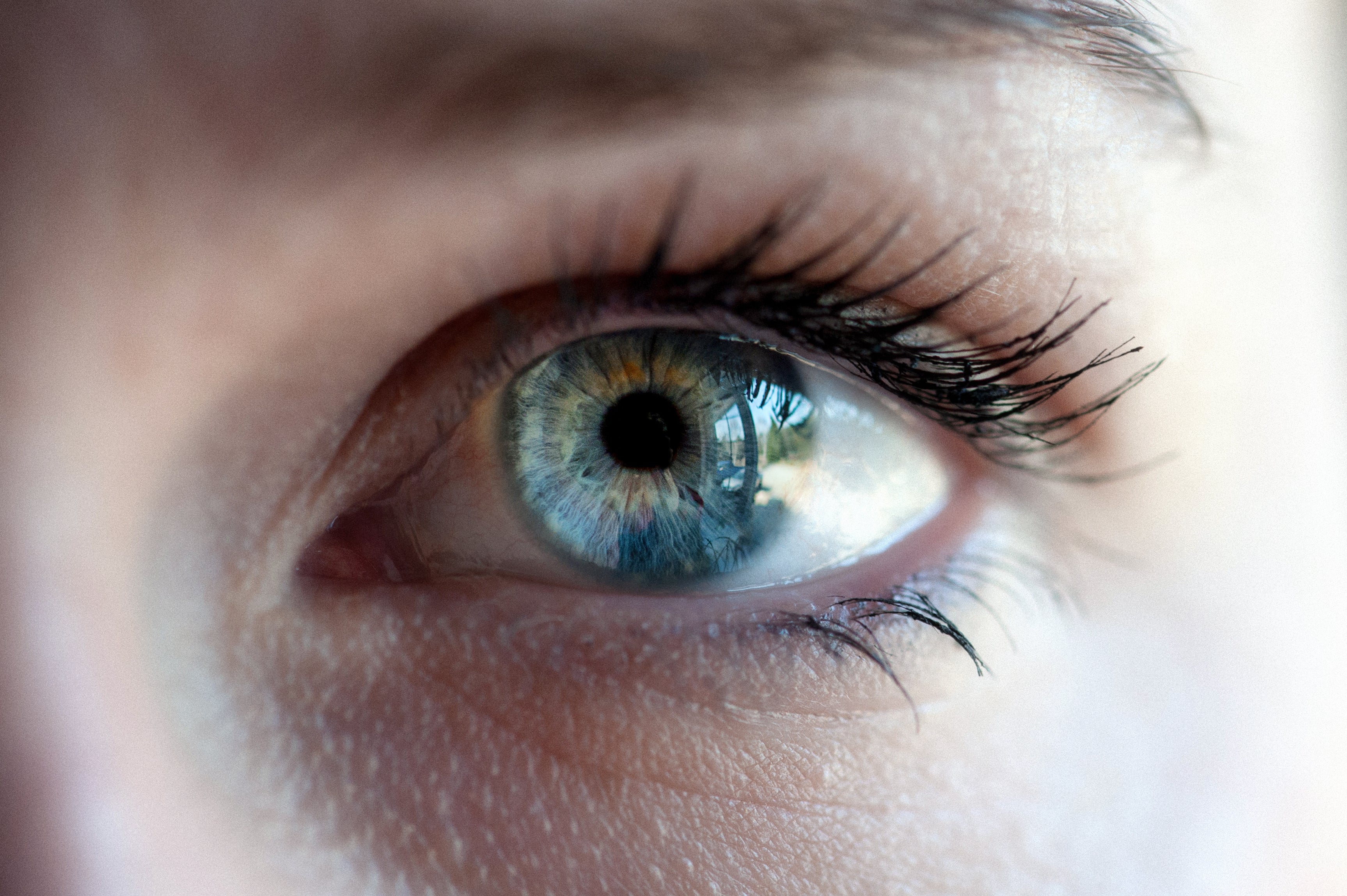 People Are Sharing The Creepiest Things They've Witnessed