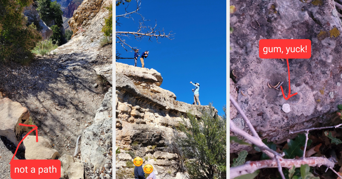 26 Outrageously Entitled Tourists From 2024