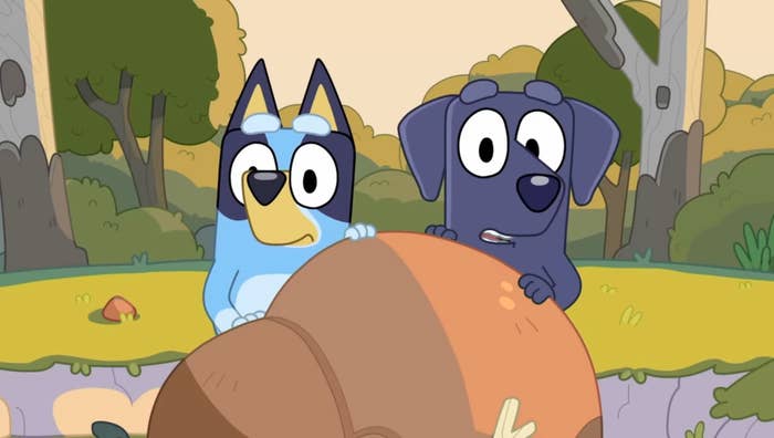 Adults, Tell Me About Your Favorite "Bluey" Episodes