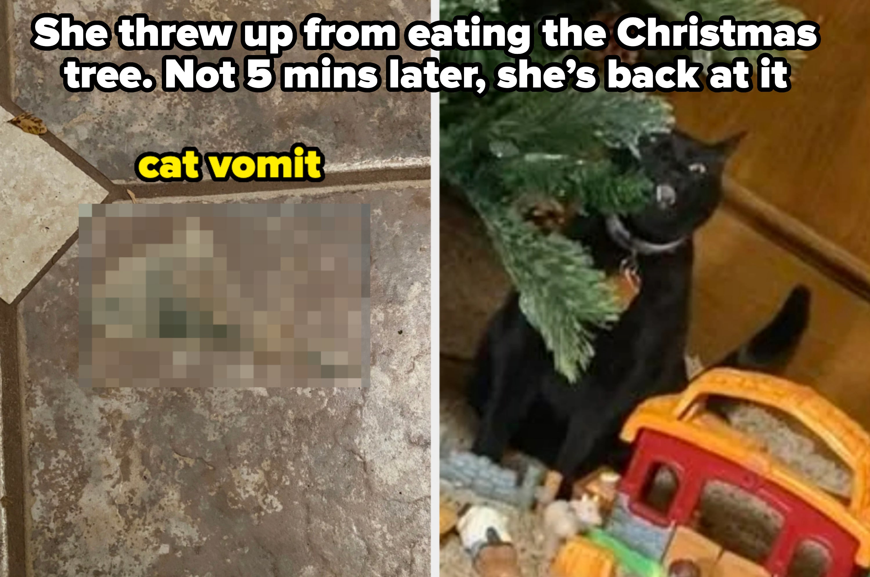 36 Hilarious Holiday Season Fails