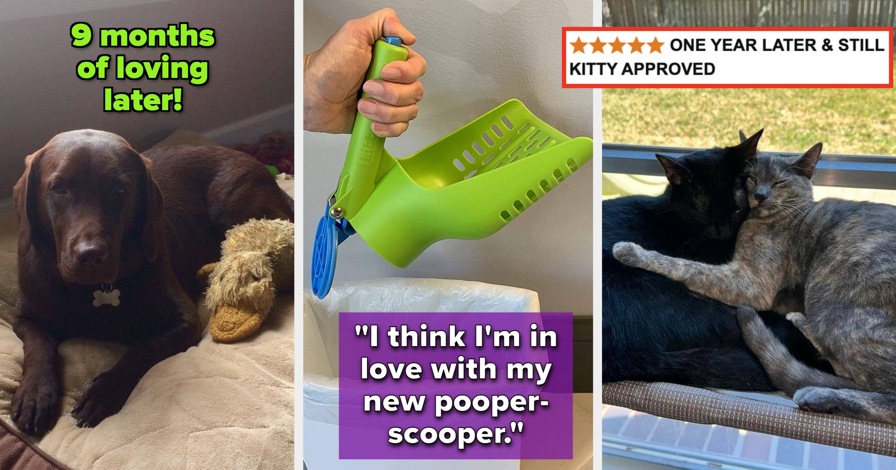 25 Underrated Pet Products Worth Purchasing For 2025