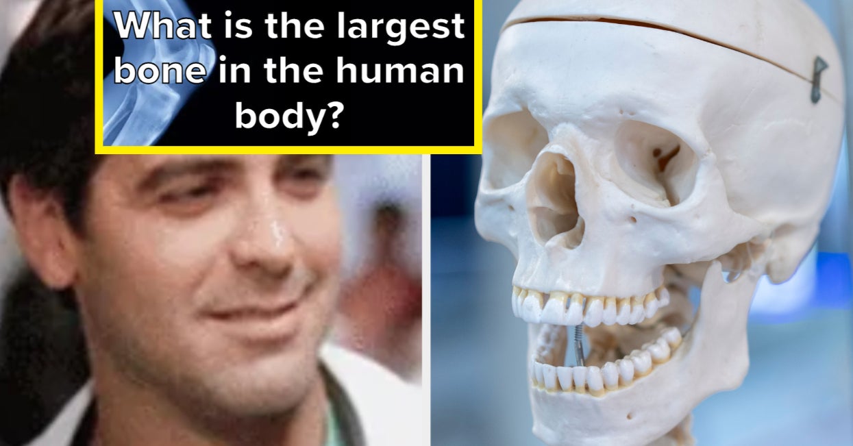 Anatomy Trivia Quiz