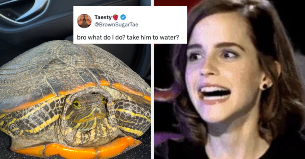 15 Hilarious Internet Fails From This Week