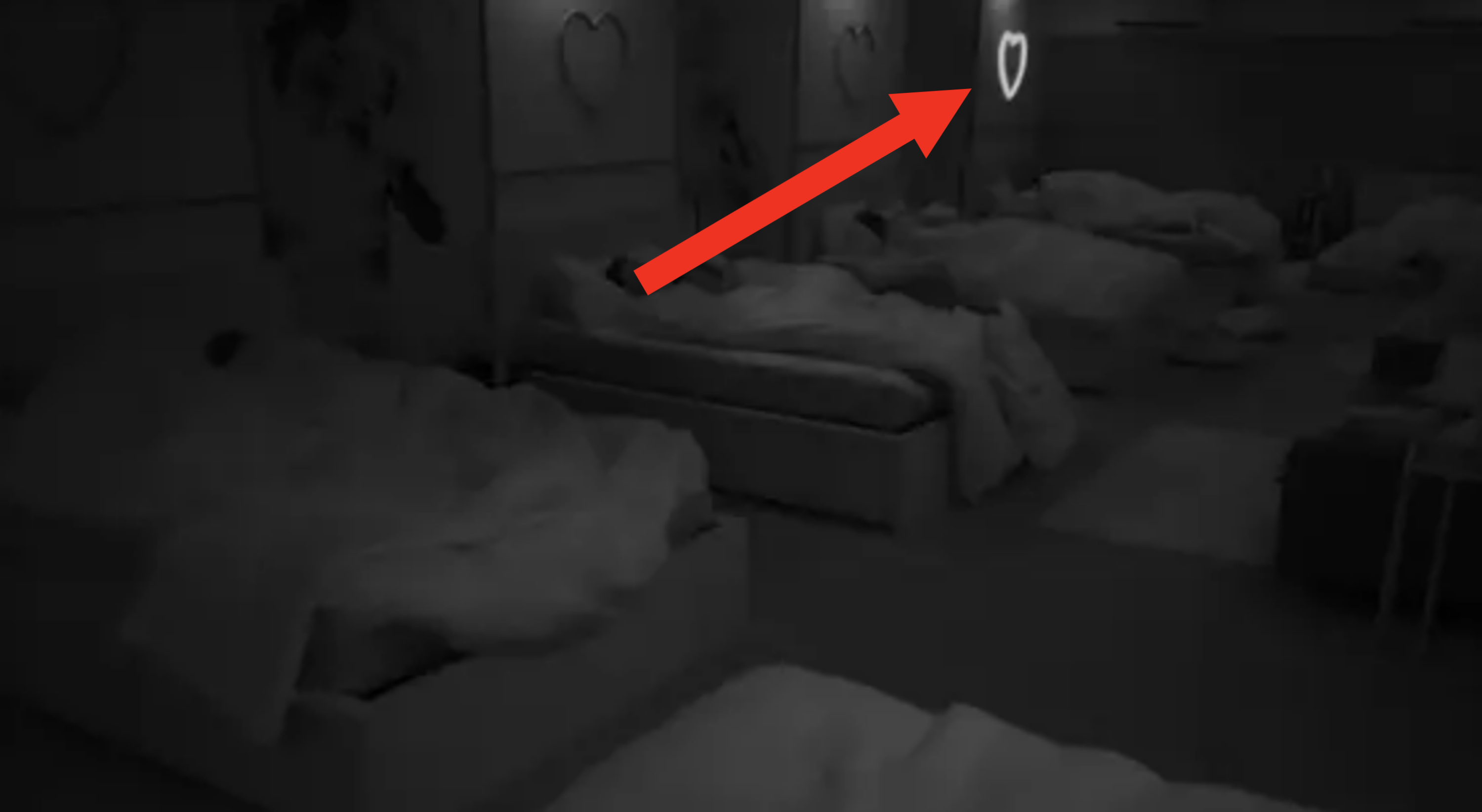 17 Reality Show Secrets Directly From Stars