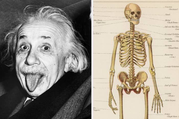 Top BuzzFeed Community Quizzes November 2024