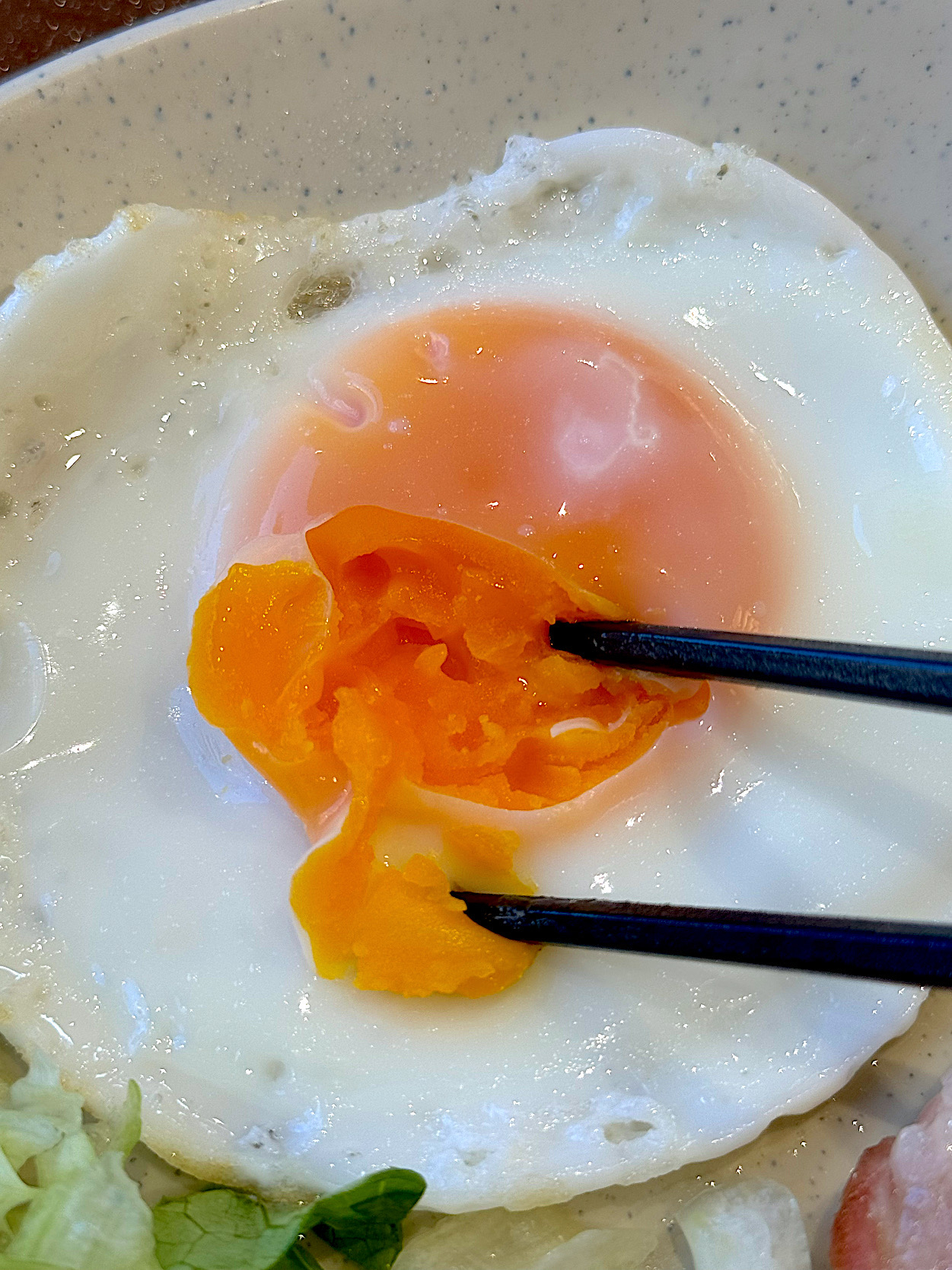 【すき家】これが500円ってウソでしょ？コスパ最強の「モーニング定食」おかずの量がハンパないの！《実食レビュー》【動画・画像】