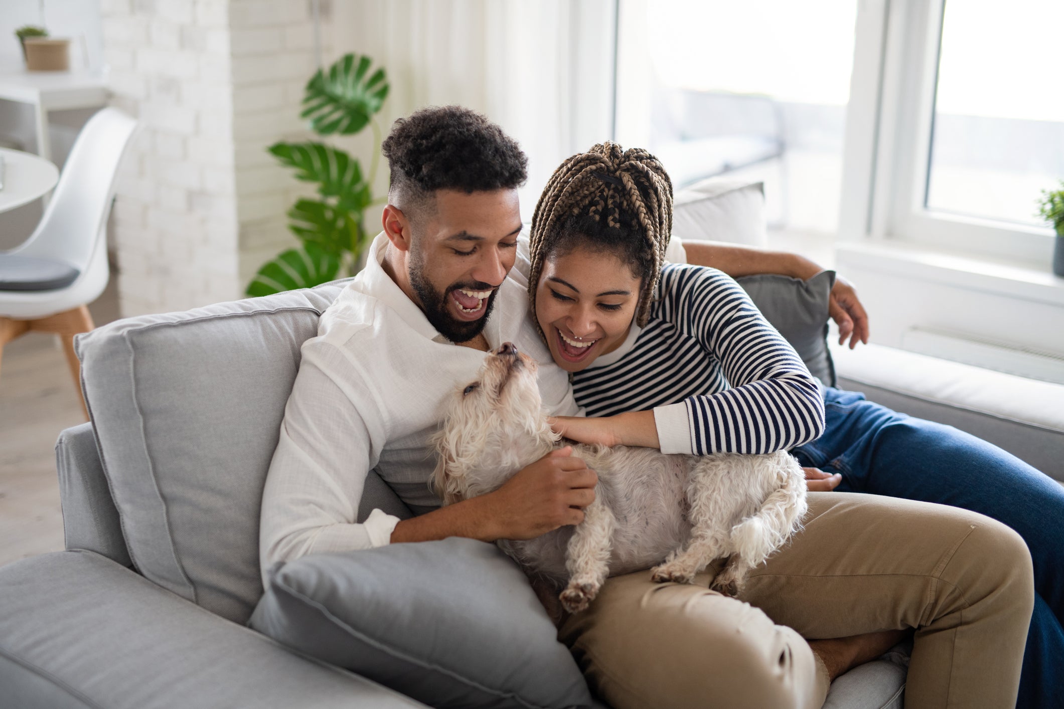 12 Things Every Pet Owner Should Know, According To A Vet