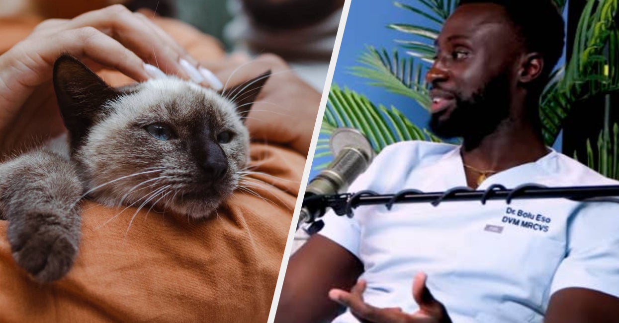 12 Things Every Pet Owner Should Know, According To A Vet