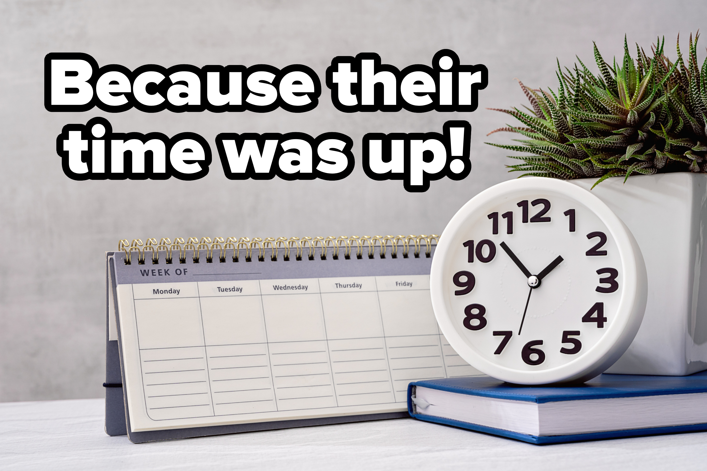 95 Funny Riddles With Answers For A Good Chuckle