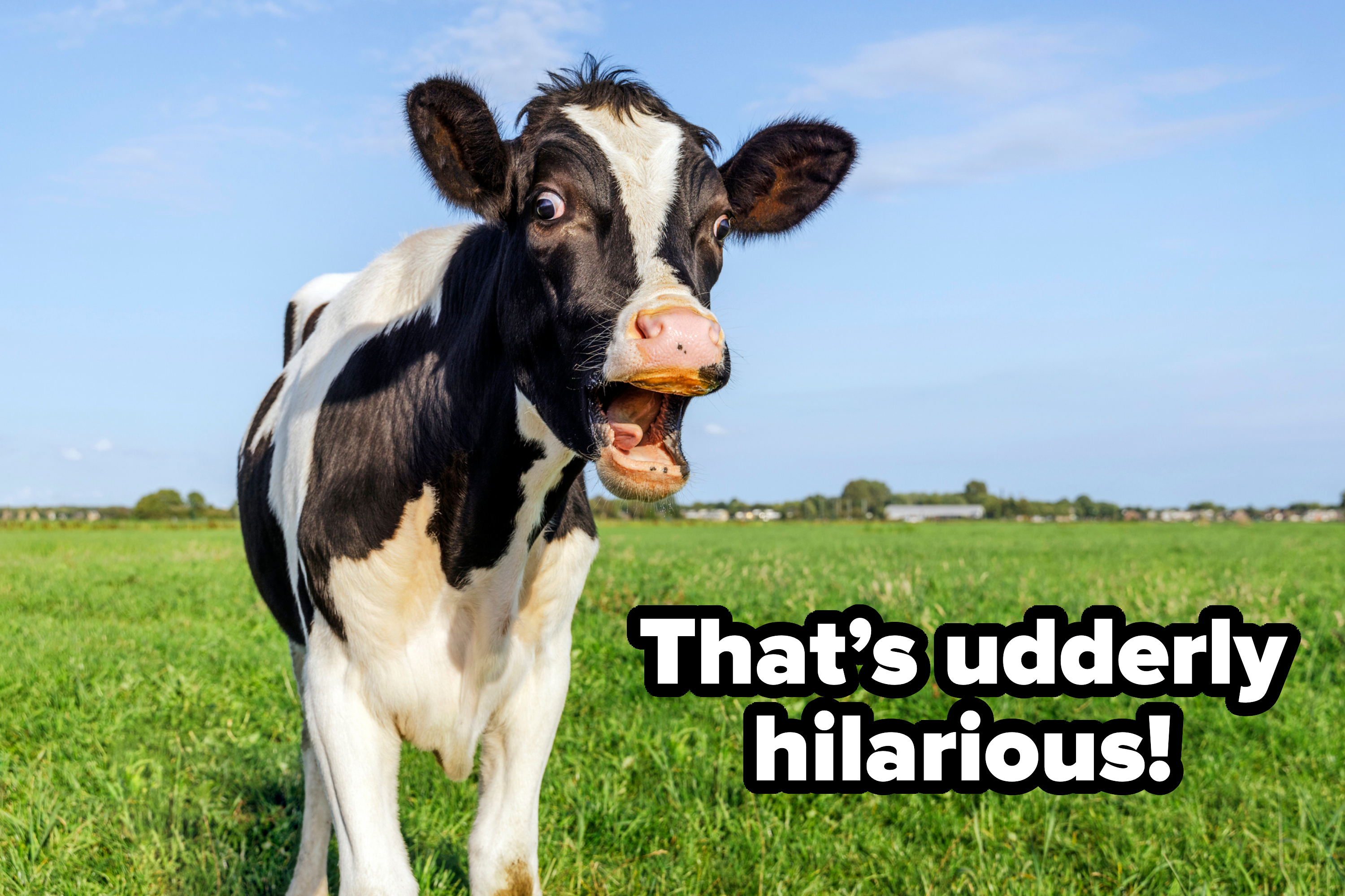 95 Funny Riddles With Answers For A Good Chuckle