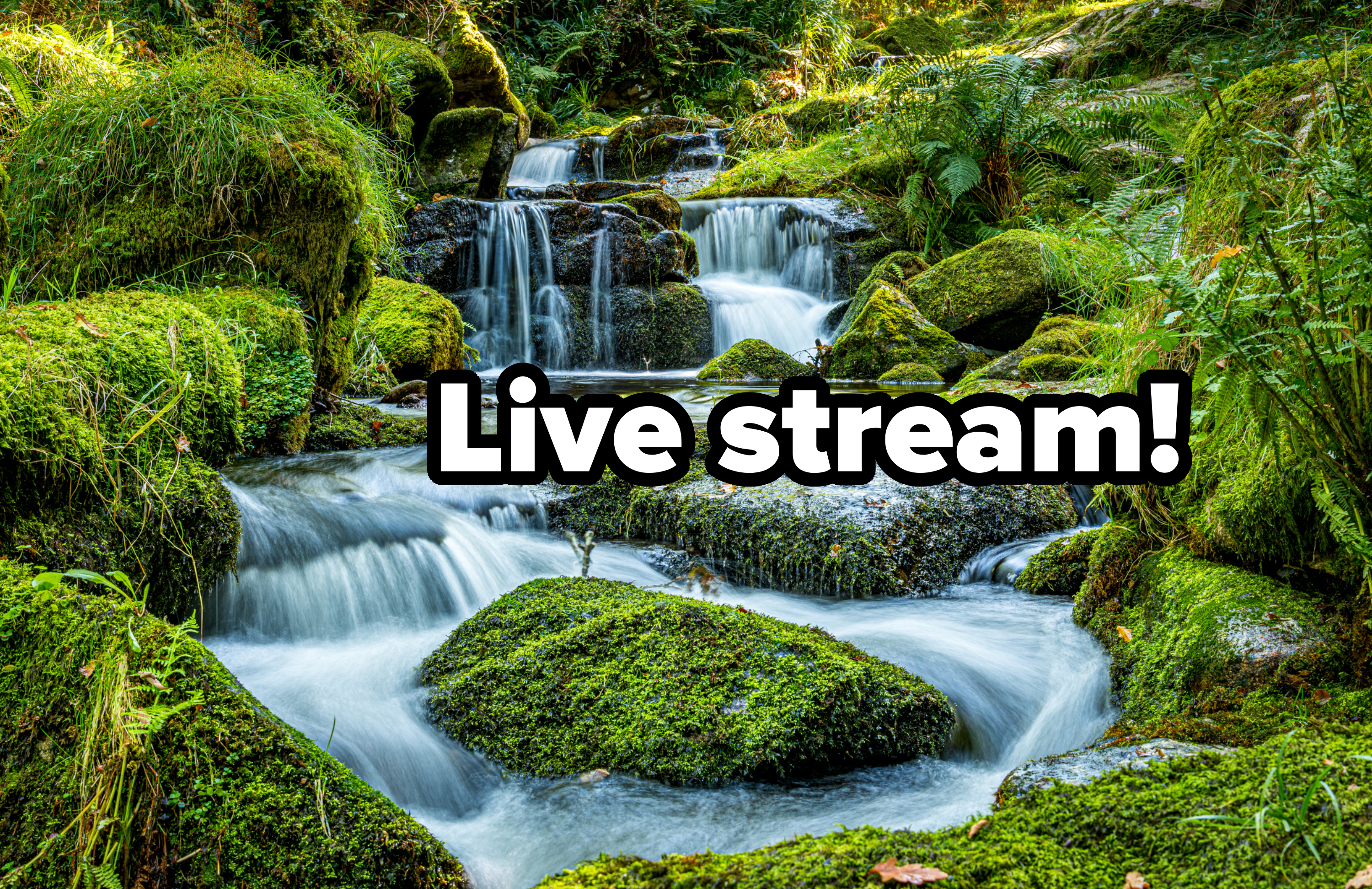 95 Funny Riddles With Answers For A Good Chuckle