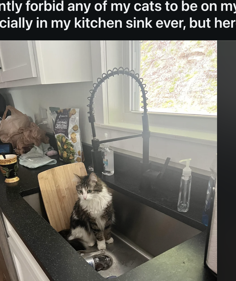 19 Items People Have In Their Homes That Are Red Flags