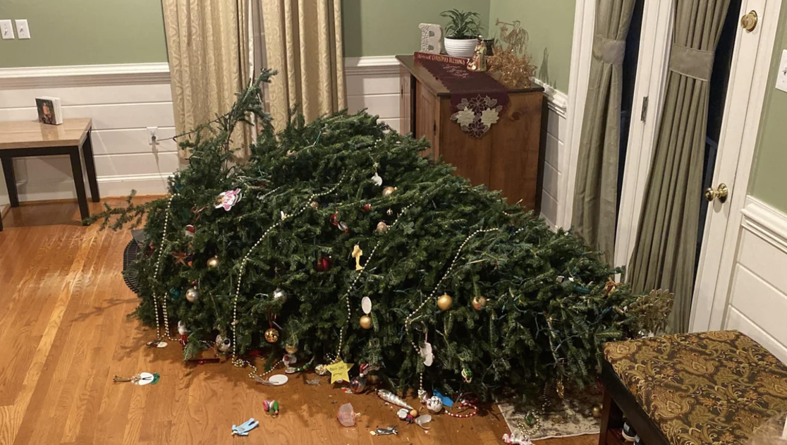 22 Funny Christmas Fails