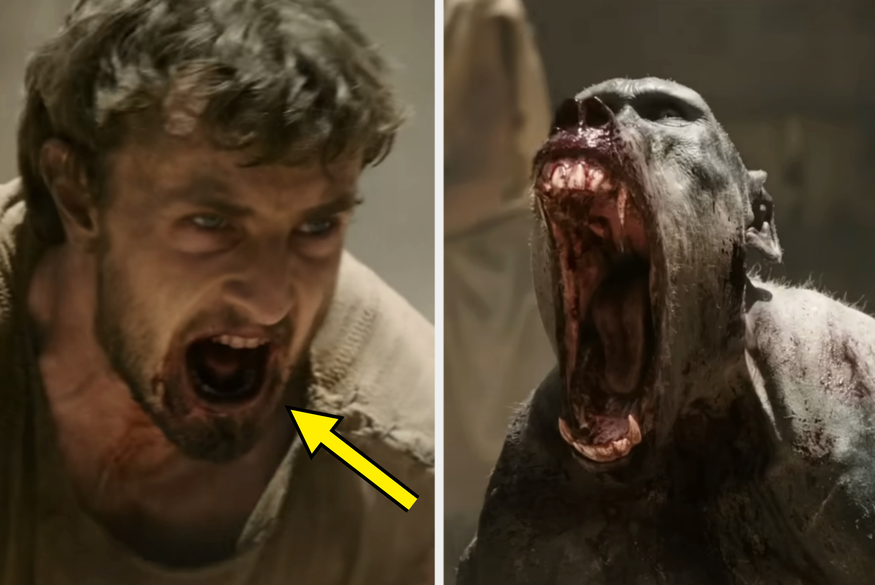 "Gladiator II" Letterboxd Reviews