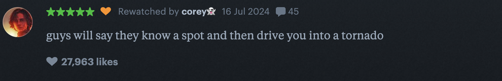 Best Letterboxd Movie Reviews Of 2024