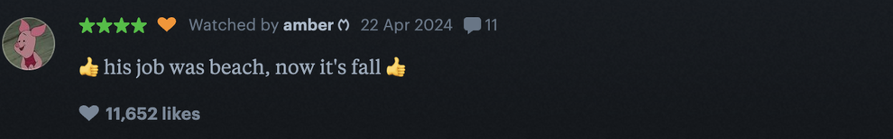 Best Letterboxd Movie Reviews Of 2024