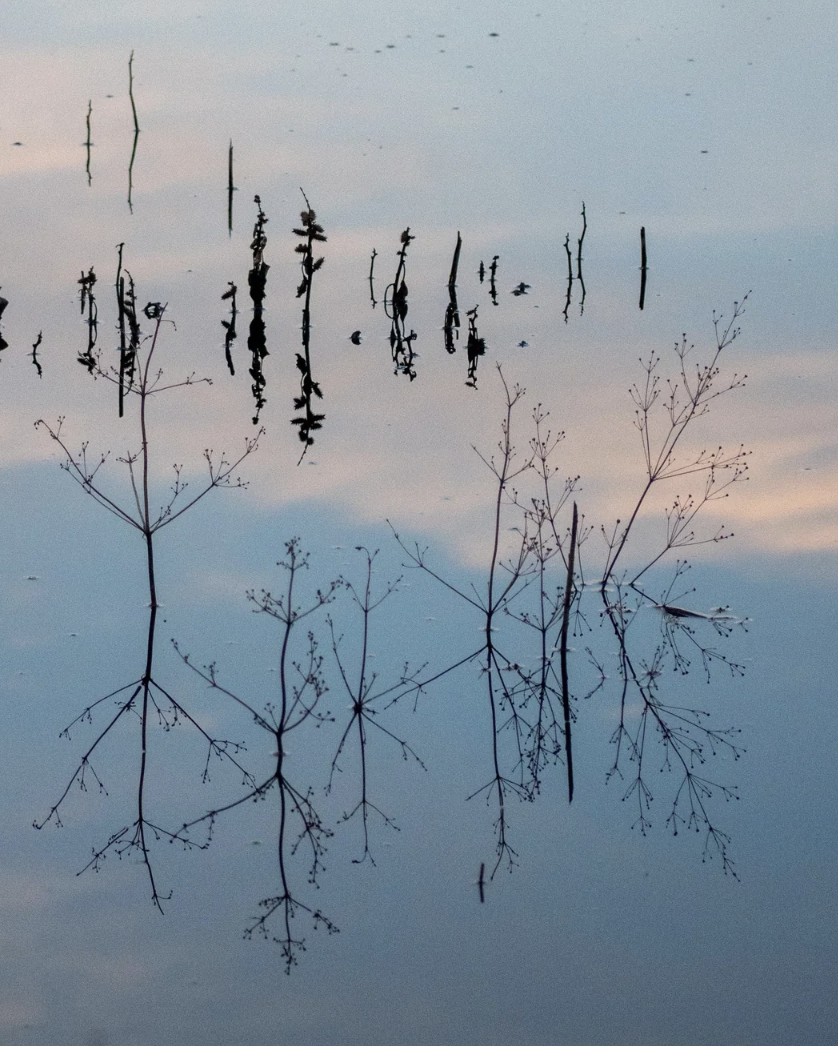 Confusing Pics: Laugh Harder With Each Look