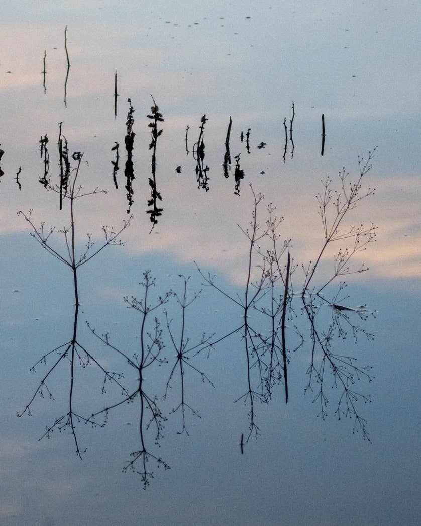 confusing pictures for kids