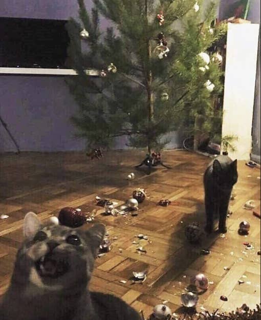 22 Funny Christmas Fails