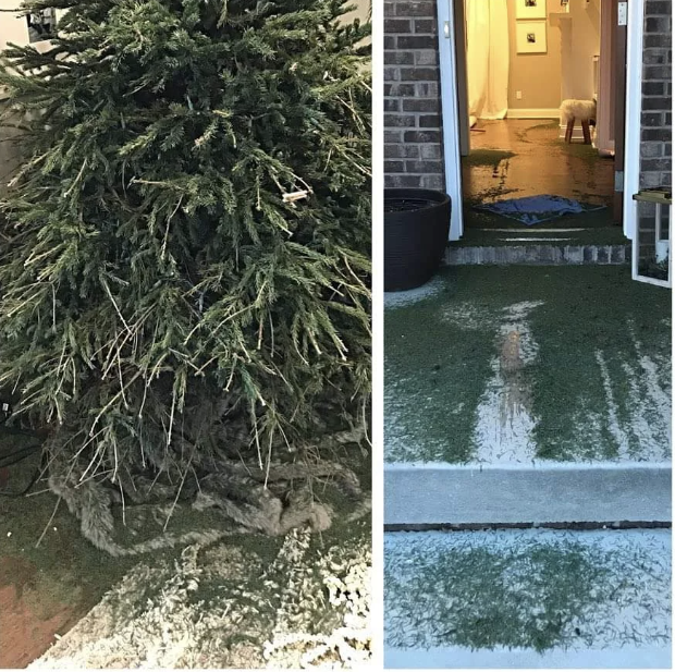 22 Funny Christmas Fails