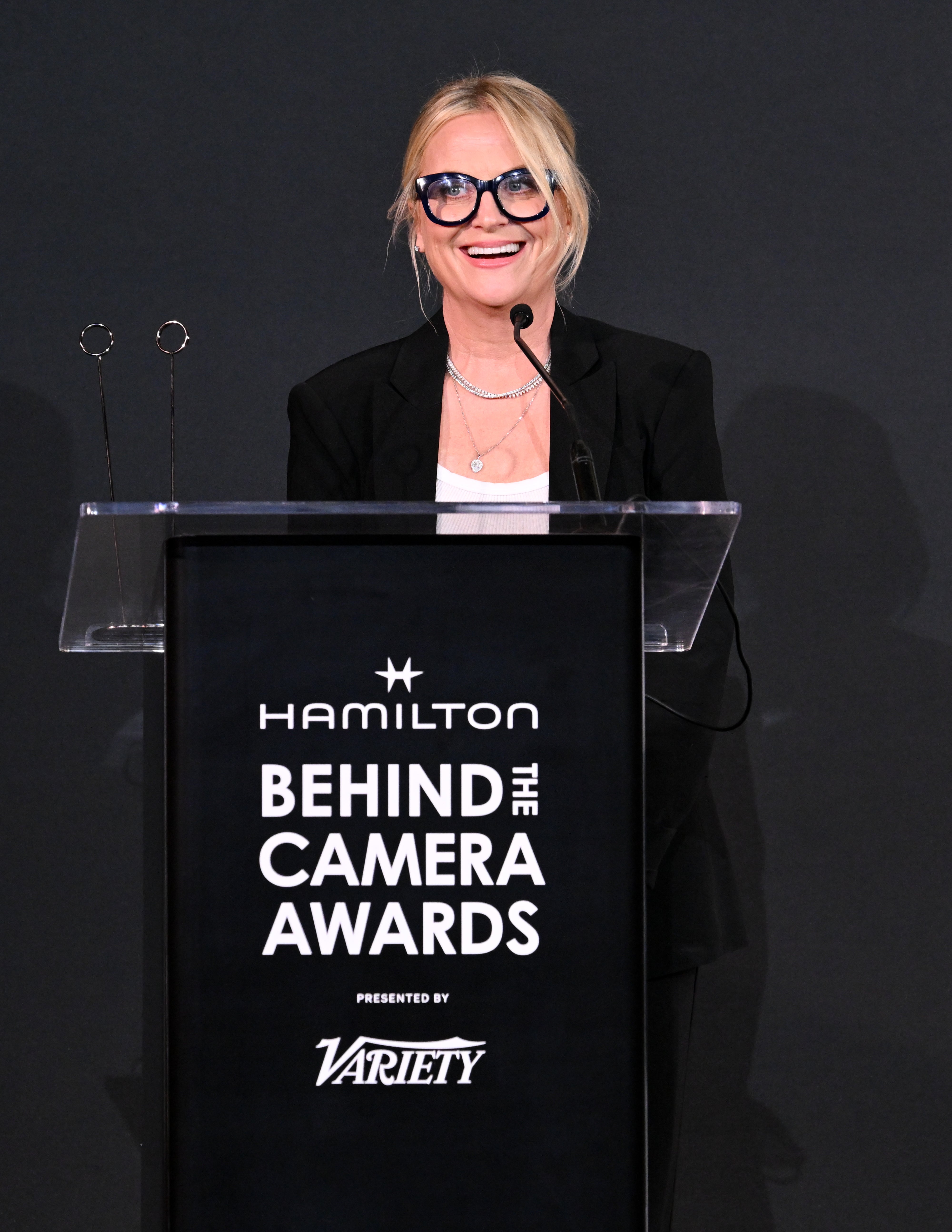 Amy Poehler Explained How Inside Out Changed Her Life