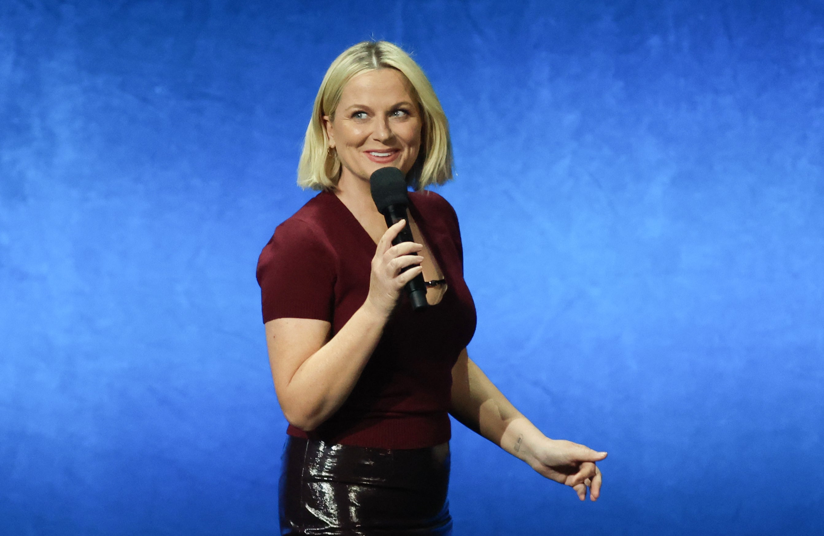 Amy Poehler Explained How Inside Out Changed Her Life