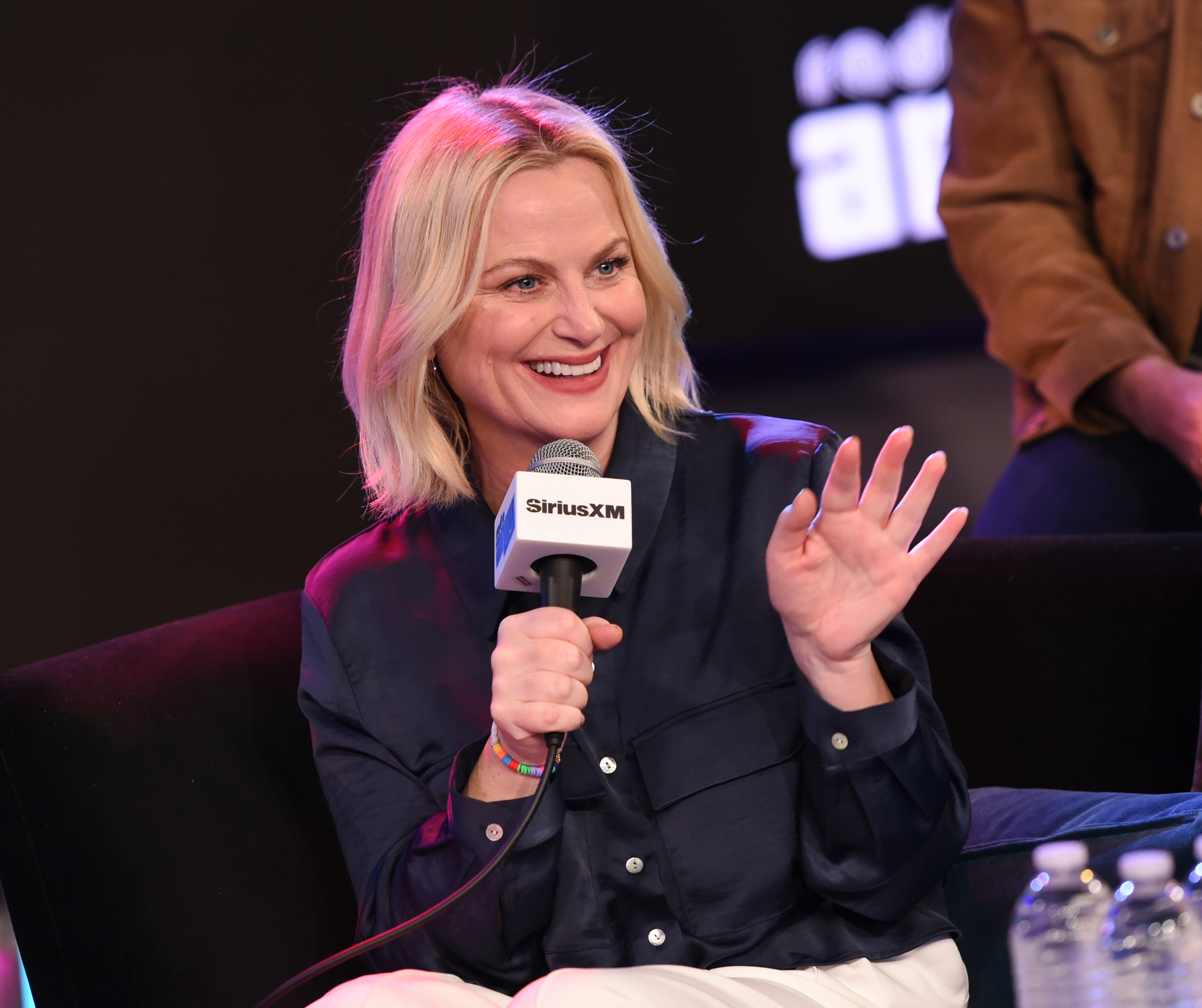 Amy Poehler Explained How Inside Out Changed Her Life