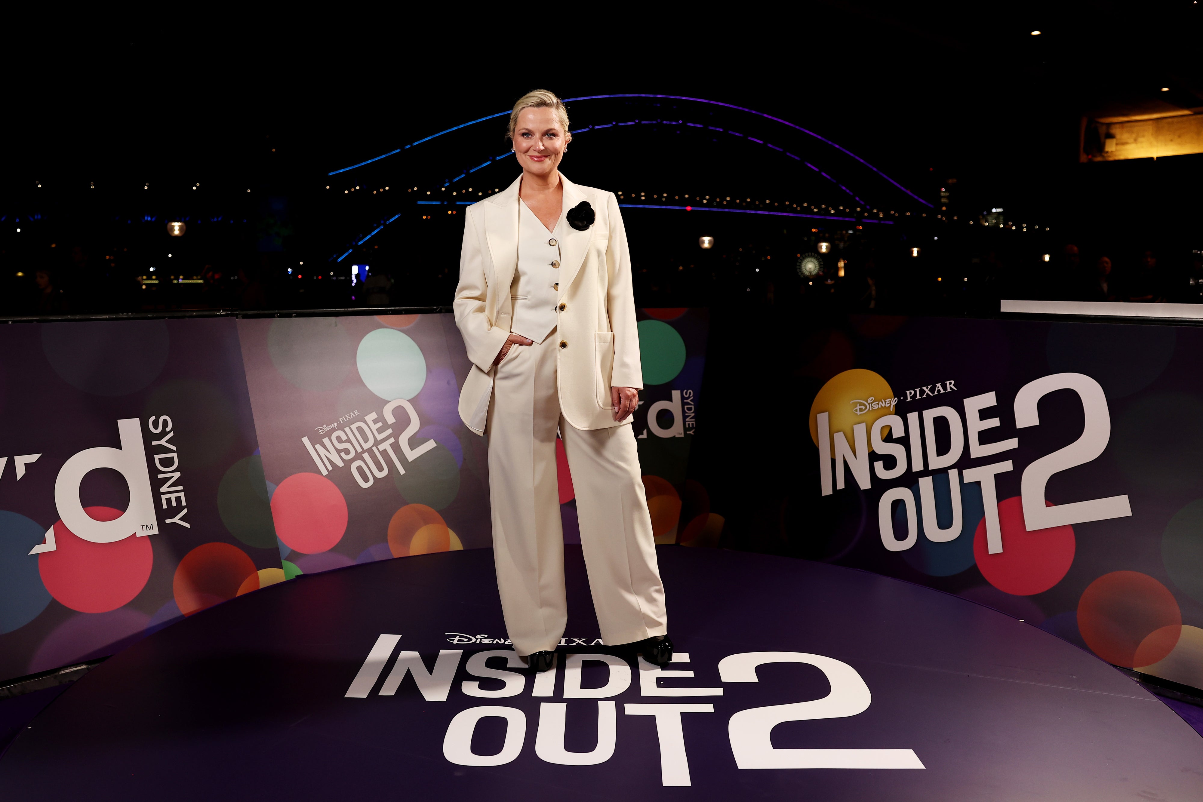 Amy Poehler Explained How Inside Out Changed Her Life