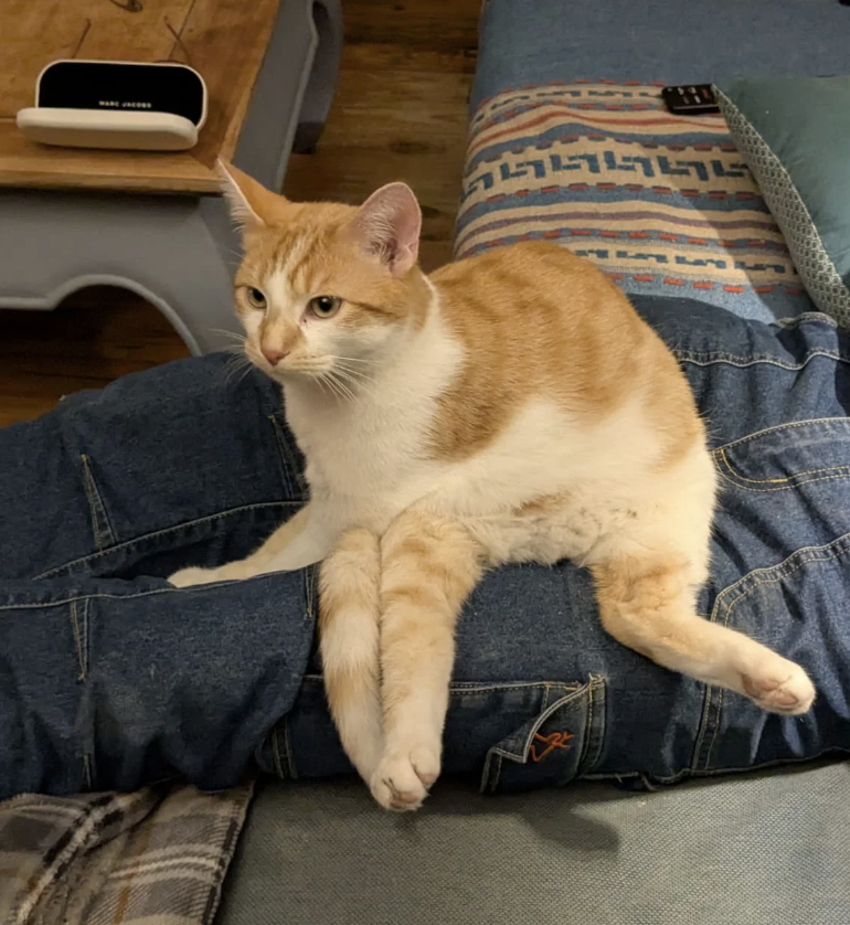 Confusing Photos: 16 Wildest Shots