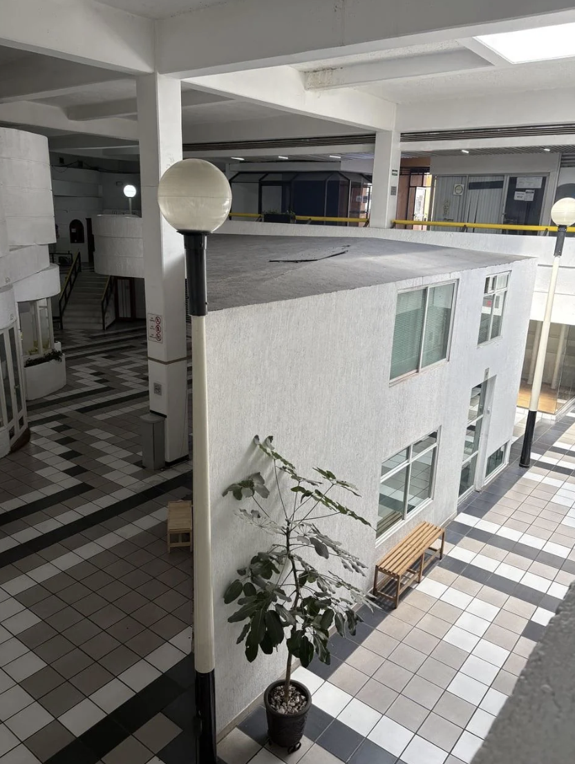 Confusing Photos: 16 Wildest Shots