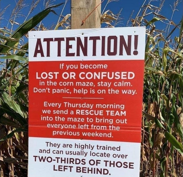 33 Hilarious Photos That Will Make You Feel Better