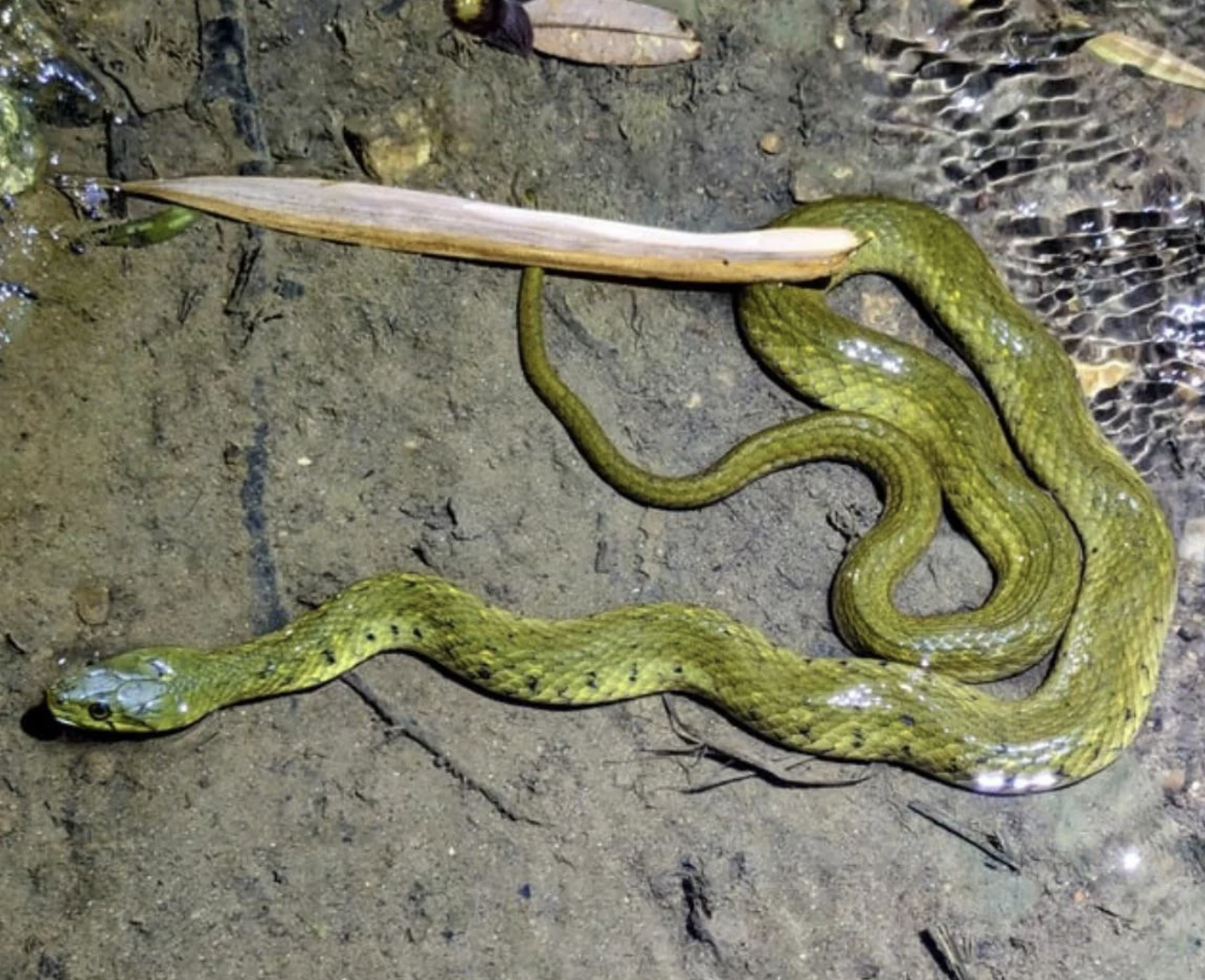 Confusing Photos: 16 Wildest Shots