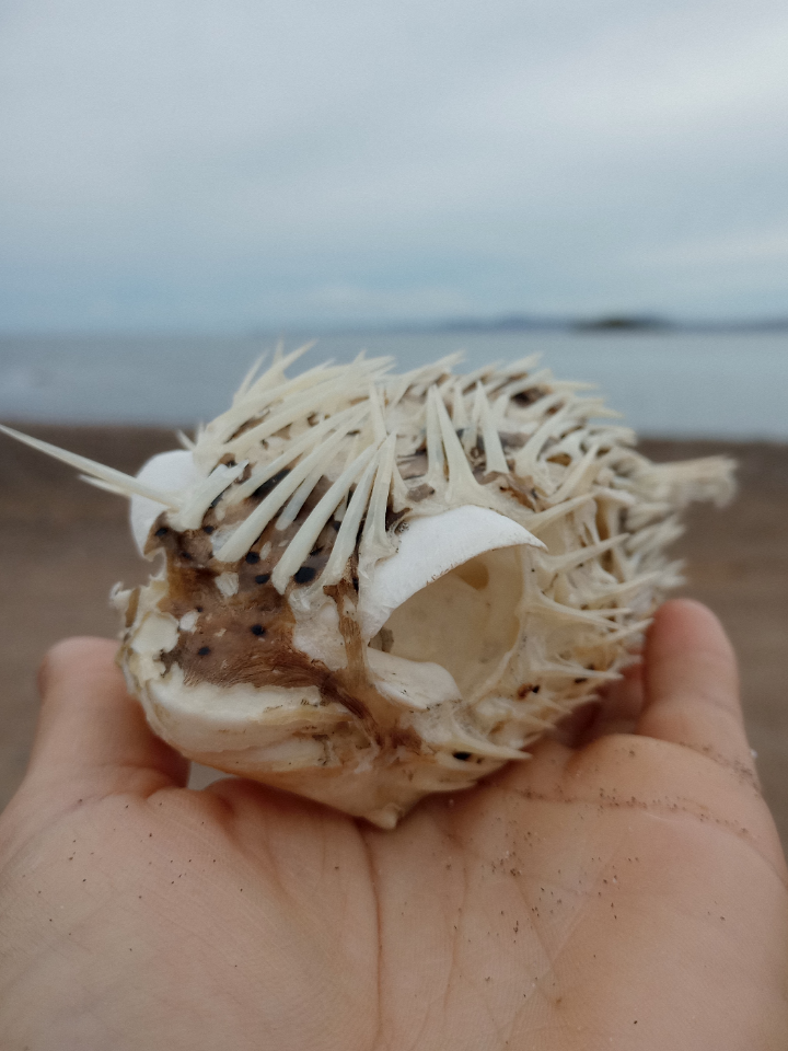 I Just Spent The Past 17 Minutes With My Jaw On The Floor After Seeing ...