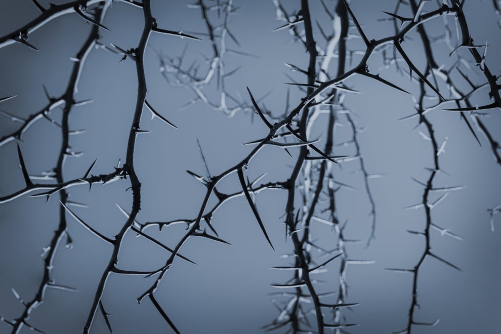 43 Ridiculous Ways People Accidentally Got Hurt