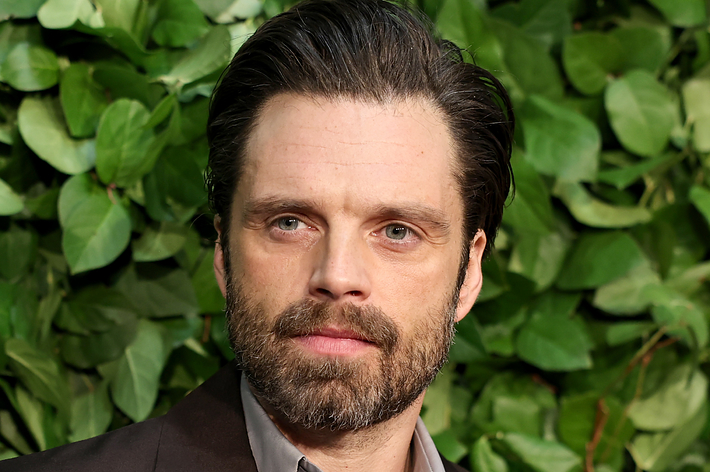 Sebastian Stan's Resurfaced Instagram Post Amid Oscar Nom