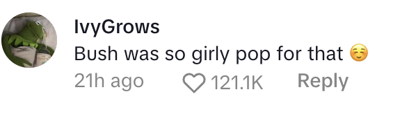 Hilary Duff Performed At Bush's 2005 Inauguration And It Is Going Viral